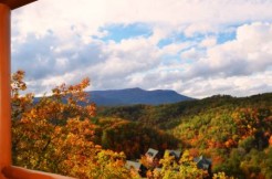 Beautiful Cabins in Pigeon Forge! - Black Bear Ridge Resort
